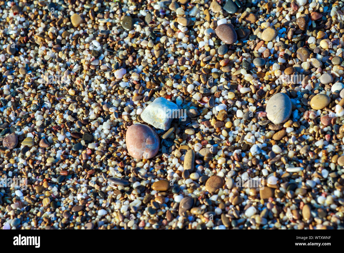 sea pebbles colored granite on the beach background stones. The shore ...