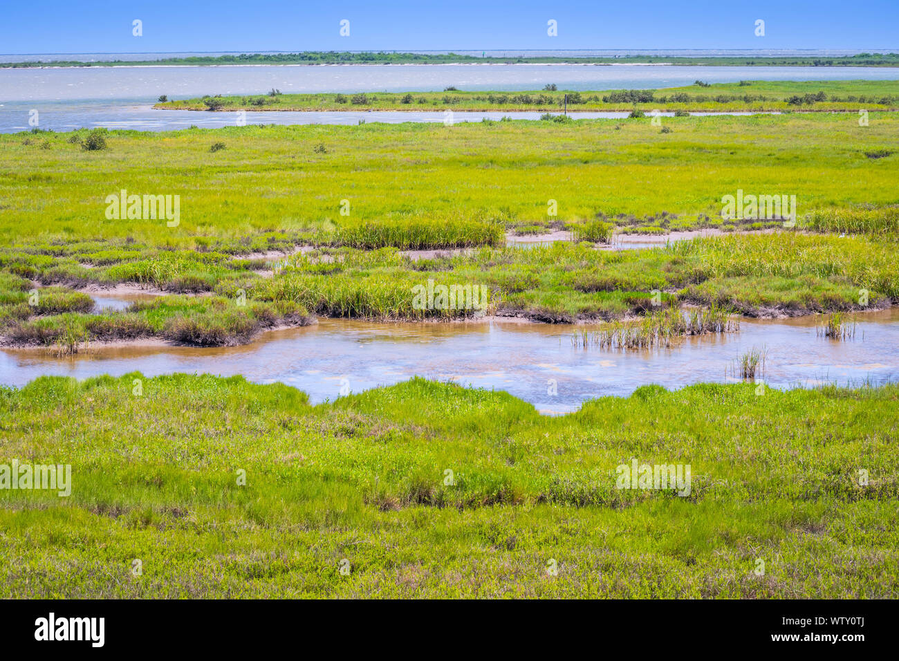 The huge wetlands of Aransas NWR, Texas Stock Photo - Alamy