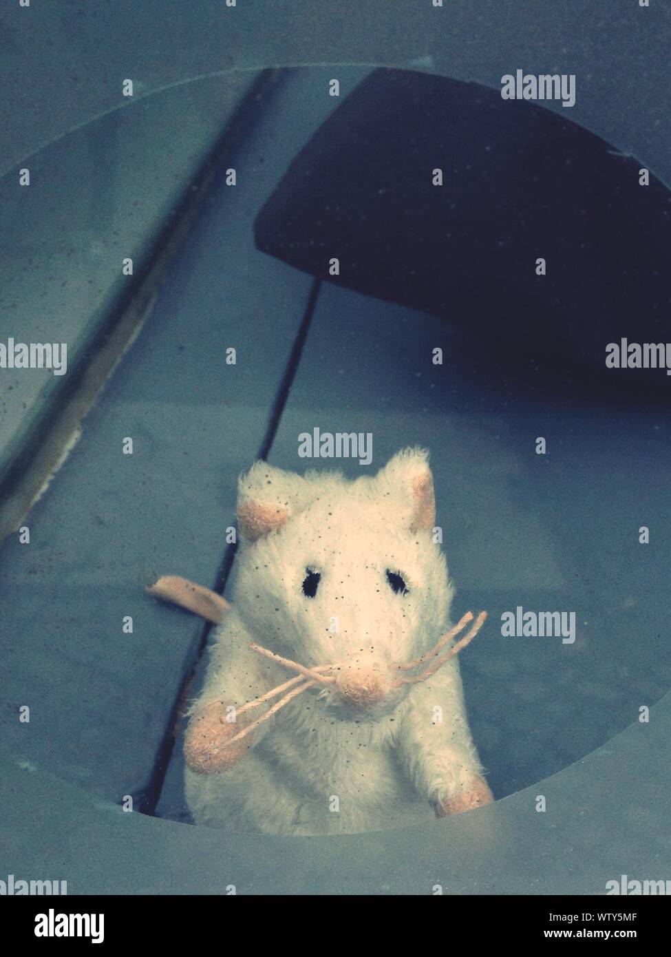 Toy rat hi-res stock photography and images - Alamy