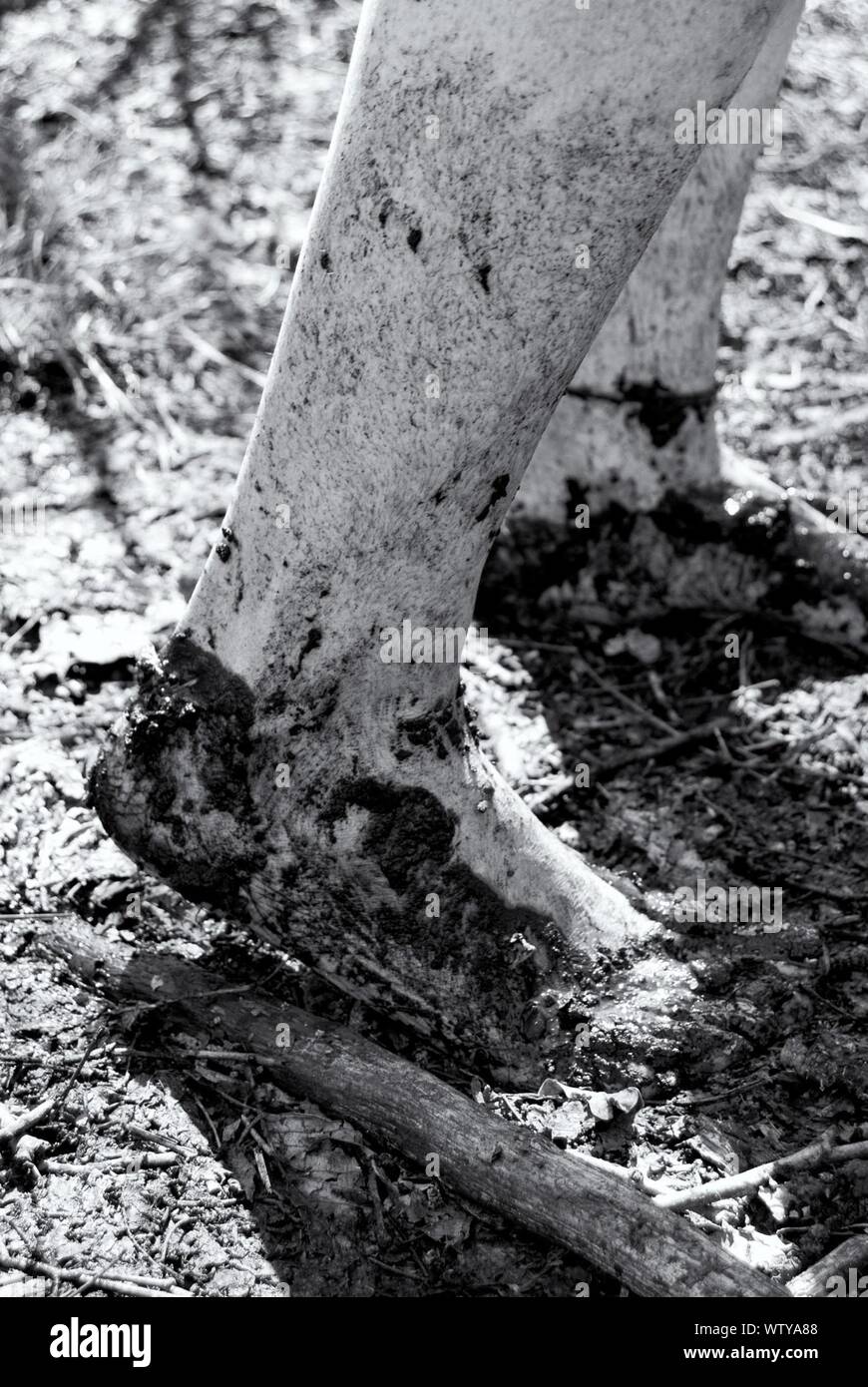 Man dirt with mud hi-res stock photography and images - Alamy