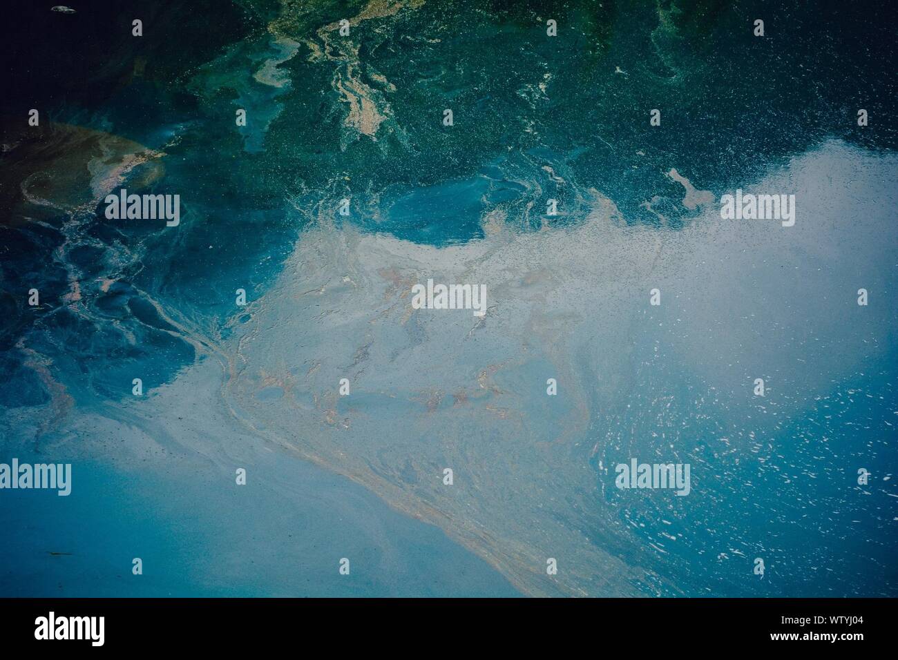 Floating algae hi-res stock photography and images - Alamy