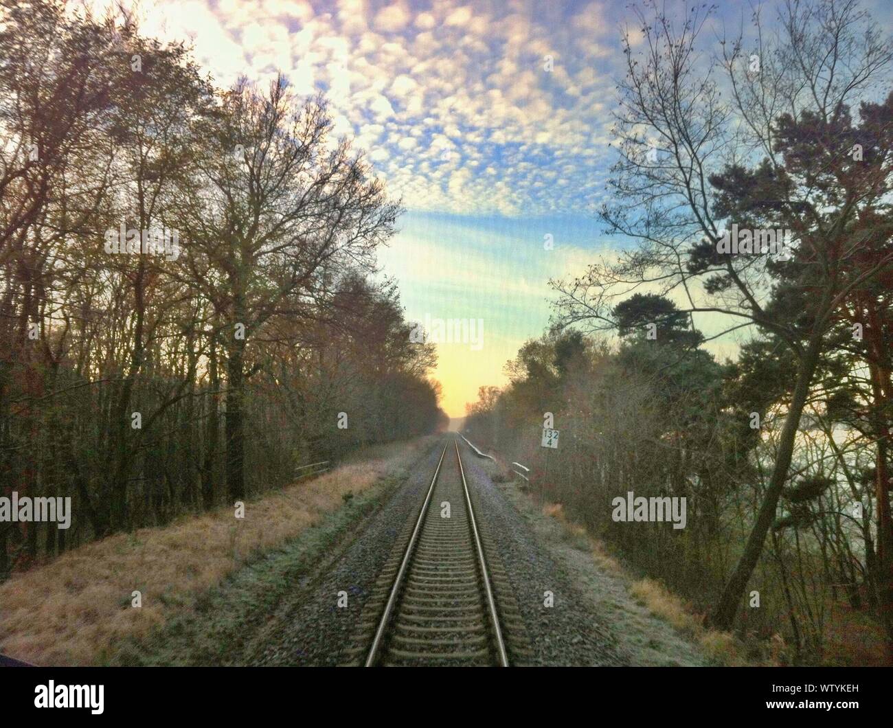 Trees and train hi-res stock photography and images - Alamy
