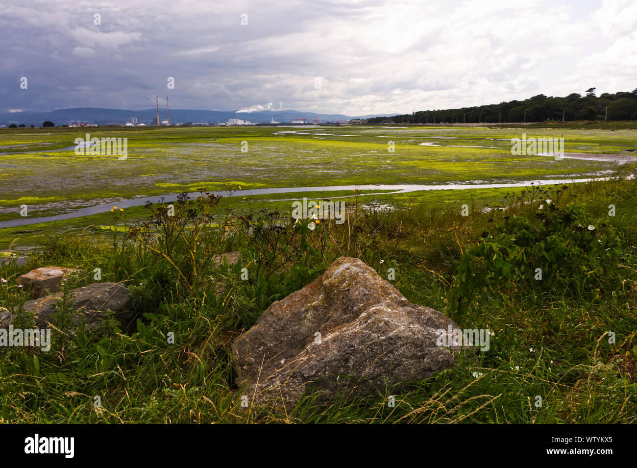 View towards Dublin from the causeway to North Bull Island at Raheny ...