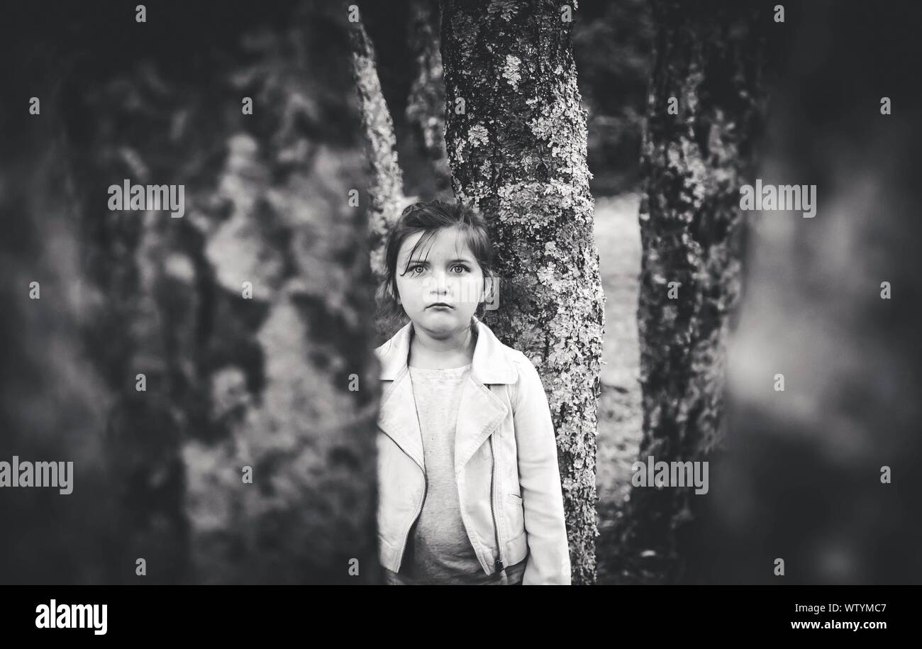 Angry Tree High Resolution Stock Photography and Images - Alamy