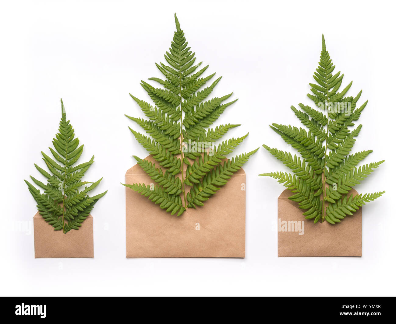 A craft Cut Out Stock Images & Pictures - Alamy