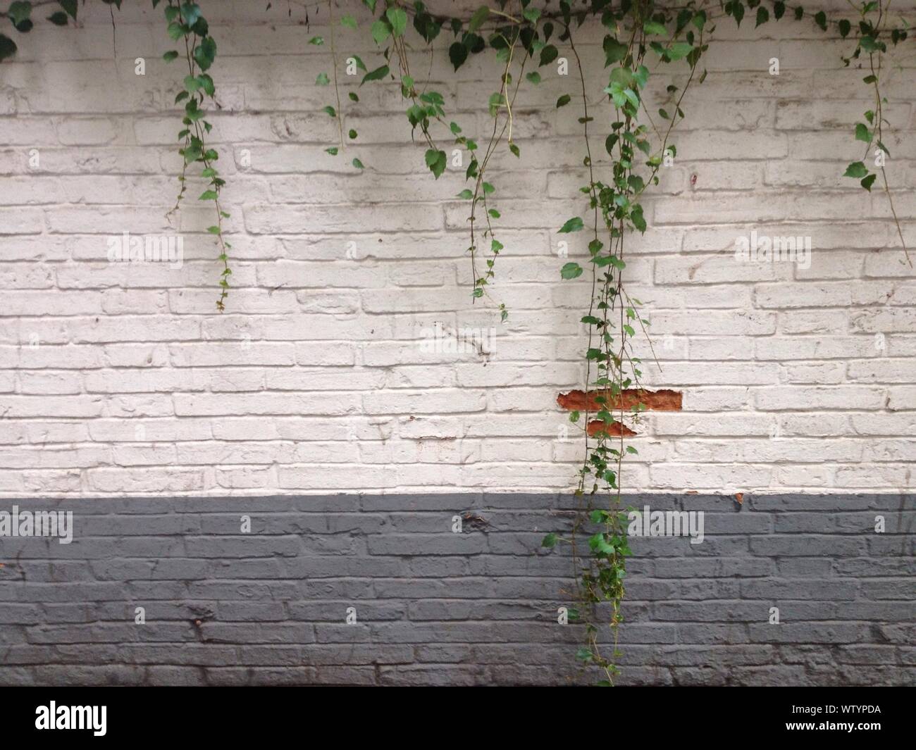 White brock wall hi-res stock photography and images - Alamy