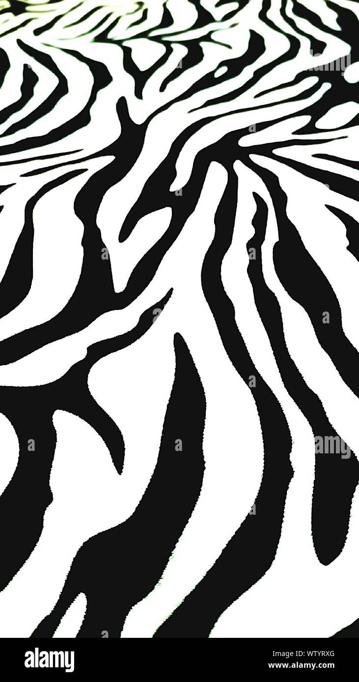 Zebra print zebra hi-res stock photography and images - Alamy