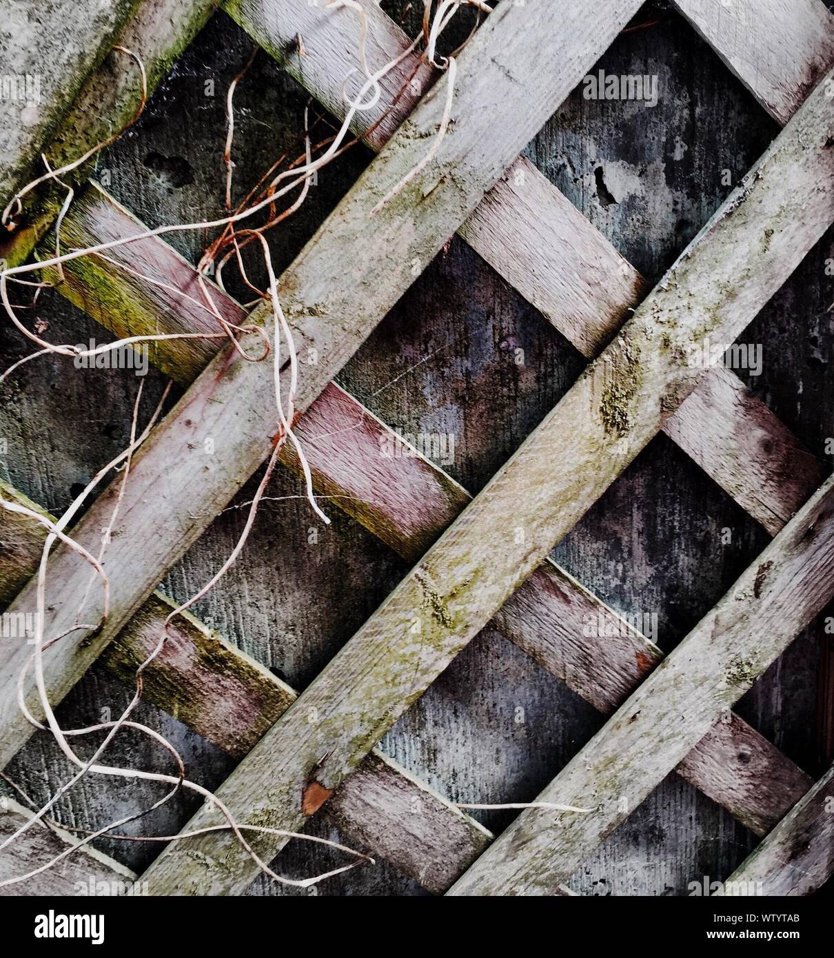 Diamond shape shaped window hi-res stock photography and images - Alamy