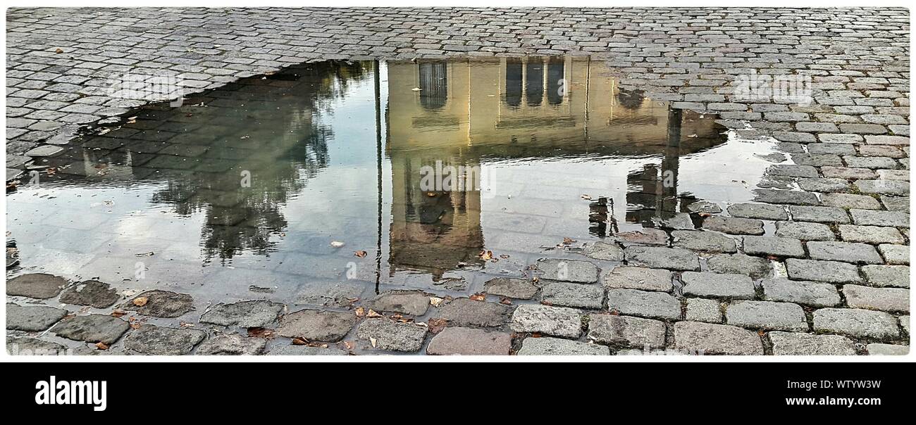 Puddle reflection tree Cut Out Stock Images & Pictures - Alamy