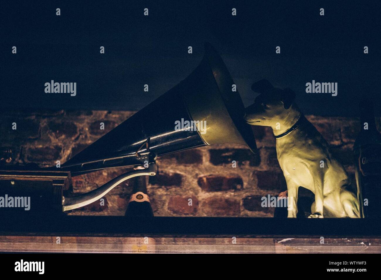 Dog Gramophone High Resolution Stock Photography and Images - Alamy