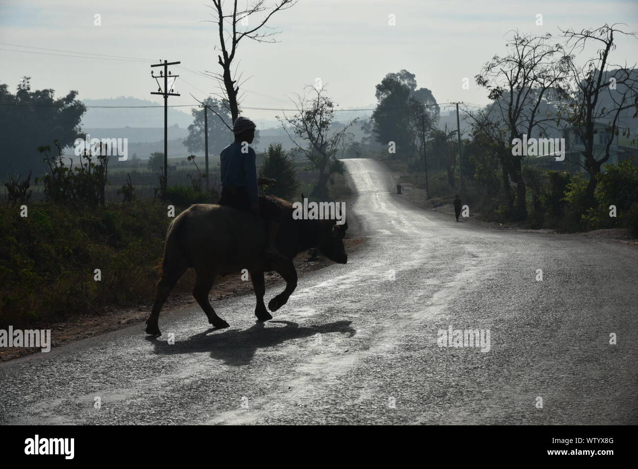 Riding on buffalo hi-res stock photography and images - Alamy