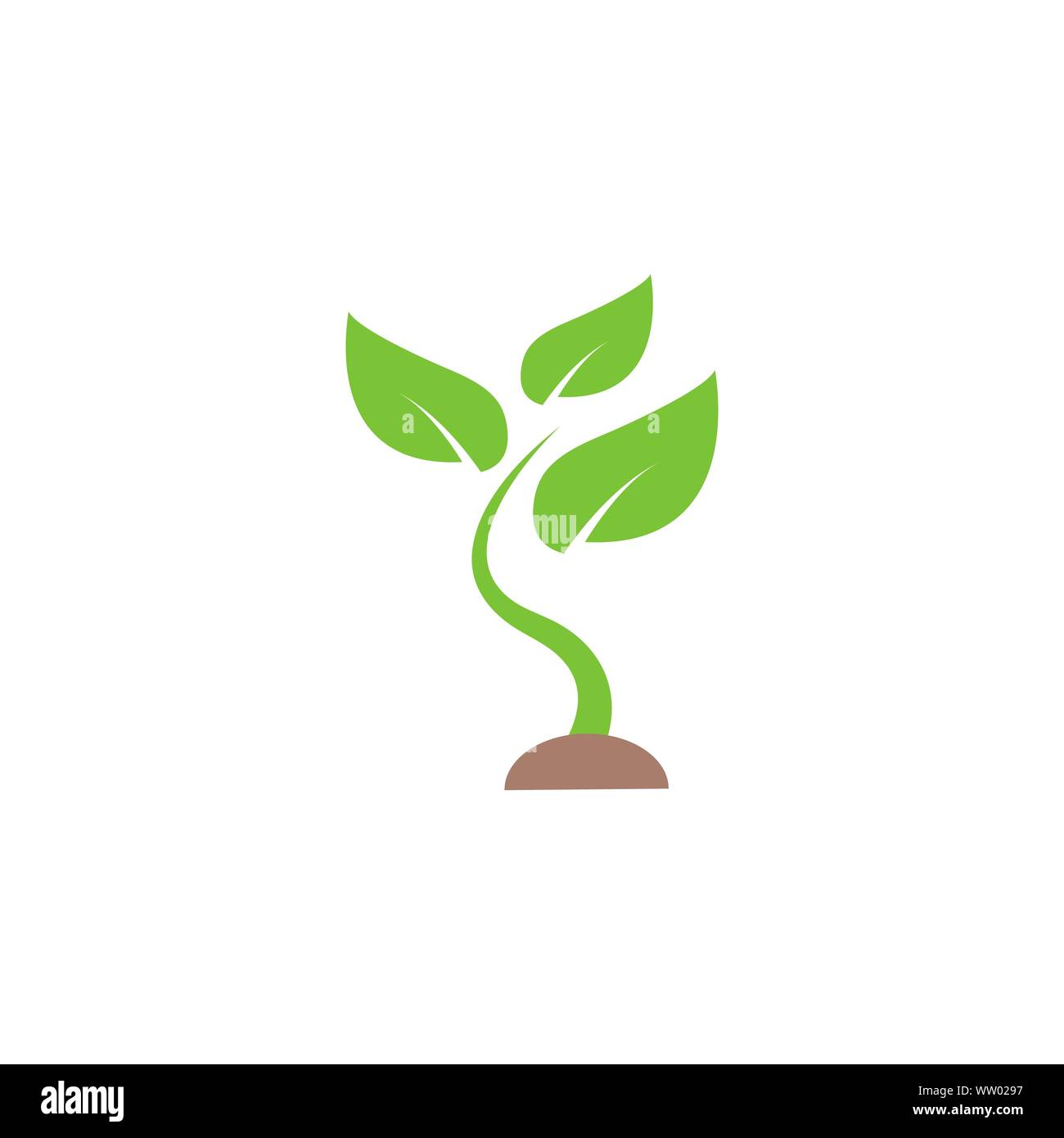 Plant Sprout Vector