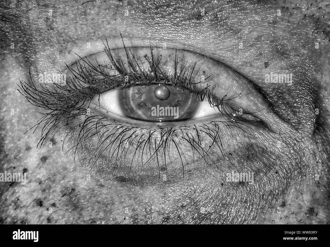 Iris macro eye Black and White Stock Photos & Images - Alamy