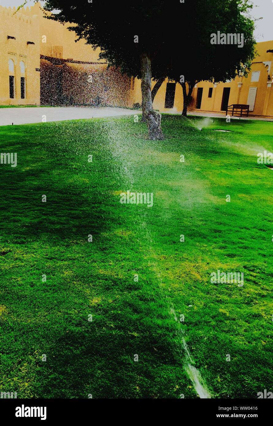 Water Spraying On Grassy Field In Yard Stock Photo - Alamy
