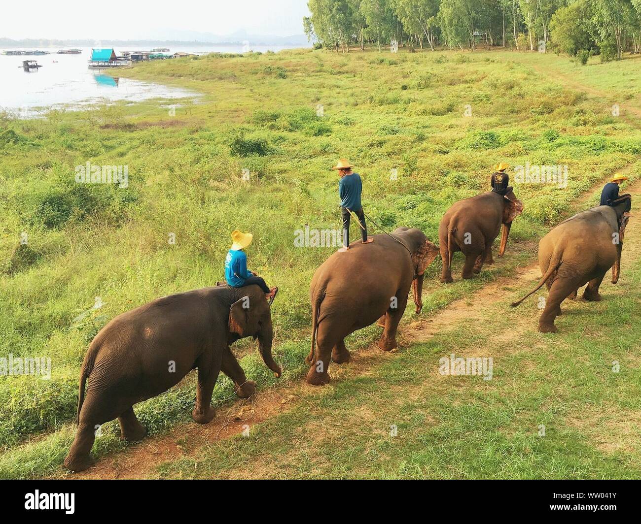Elephant and men hi-res stock photography and images - Alamy