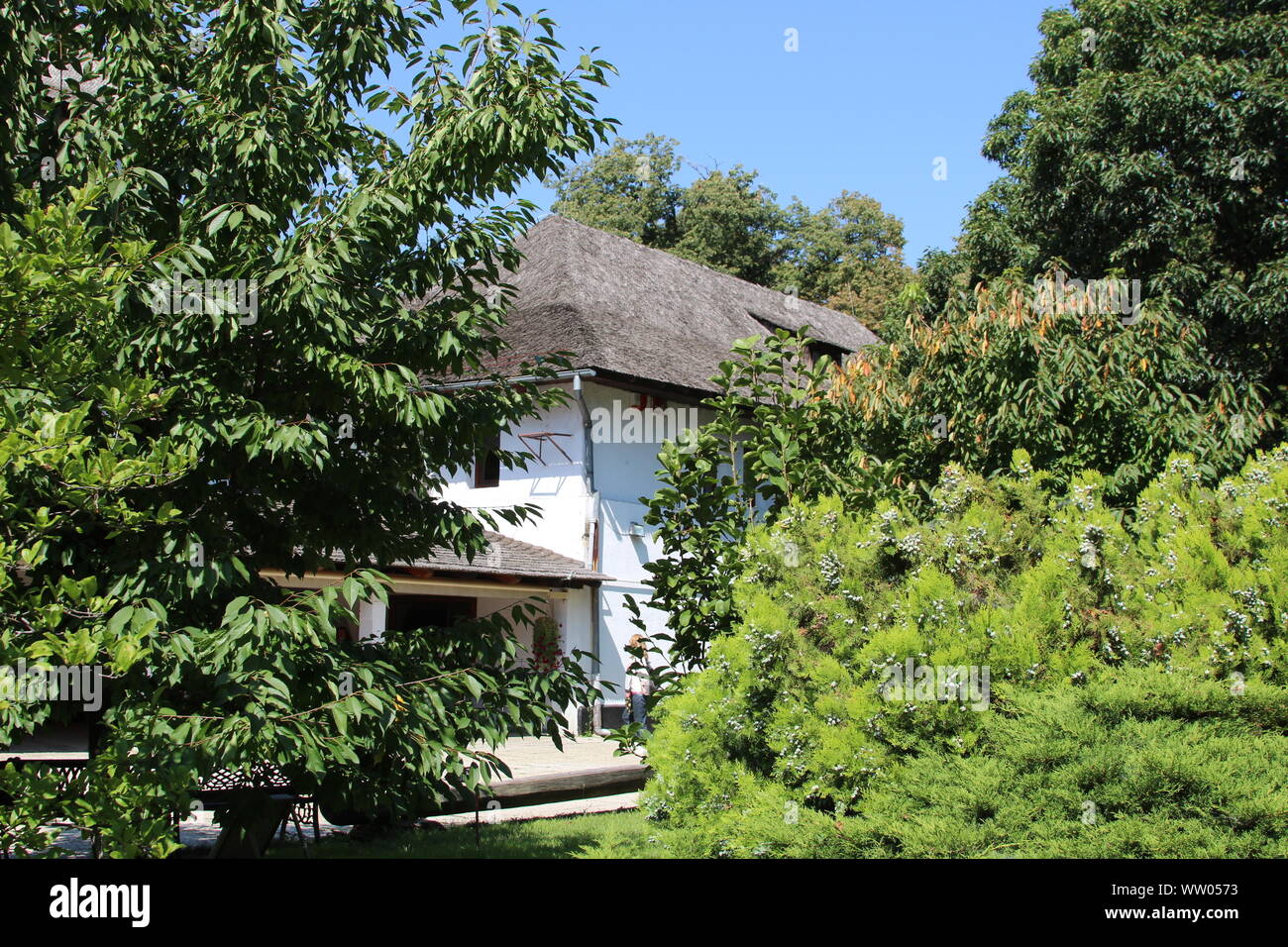 Traditional Romanian houses Stock Photo - Alamy