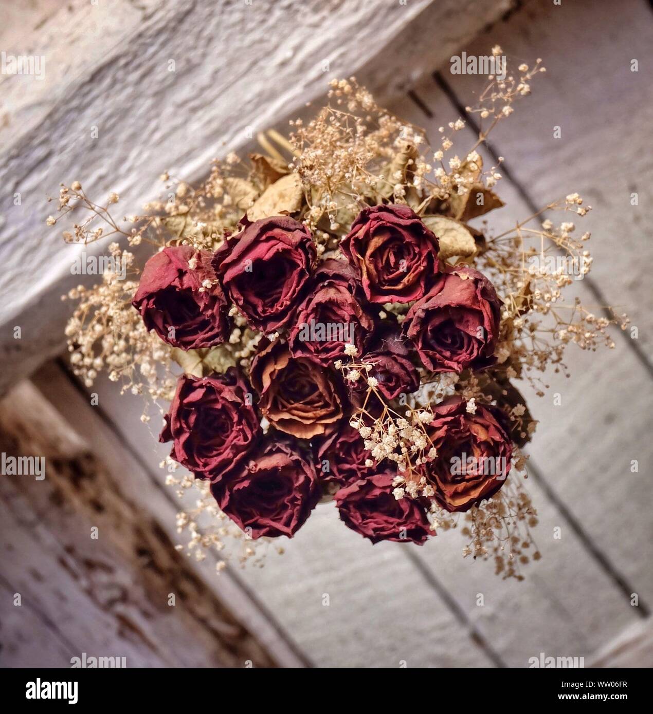 Ceiling rose hi-res stock photography and images - Alamy