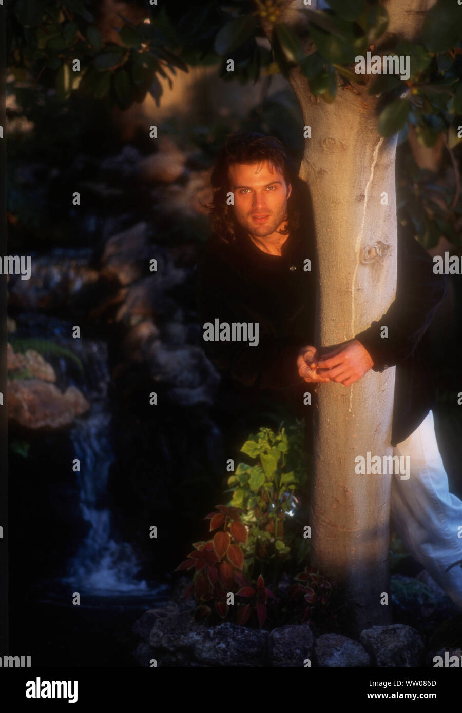 Los Angeles, California, USA 5th December 1994 (Exclusive) Actor David ...