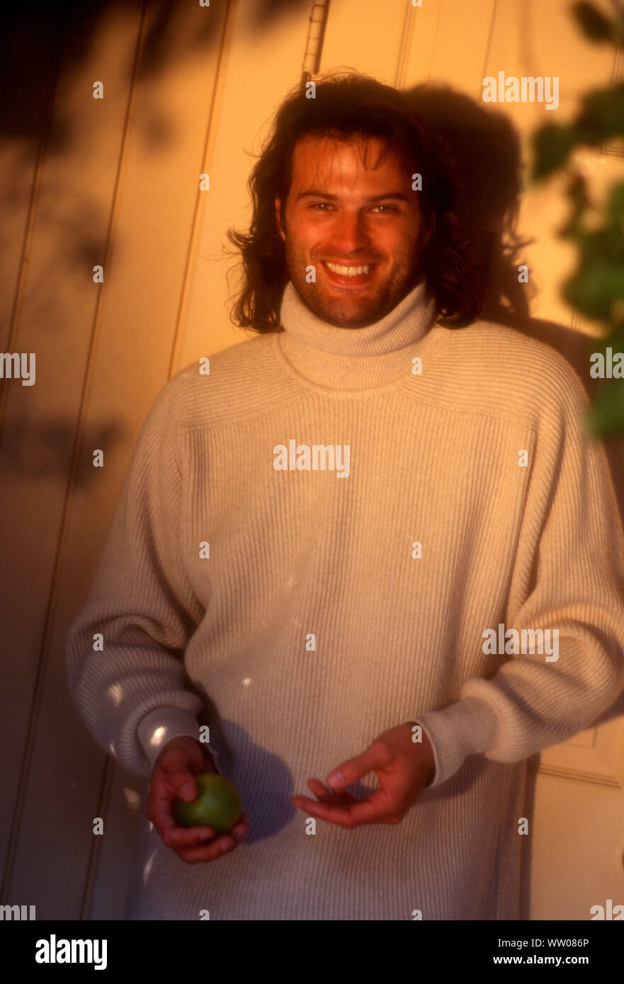 Los Angeles, California, USA 5th December 1994 (Exclusive) Actor David ...