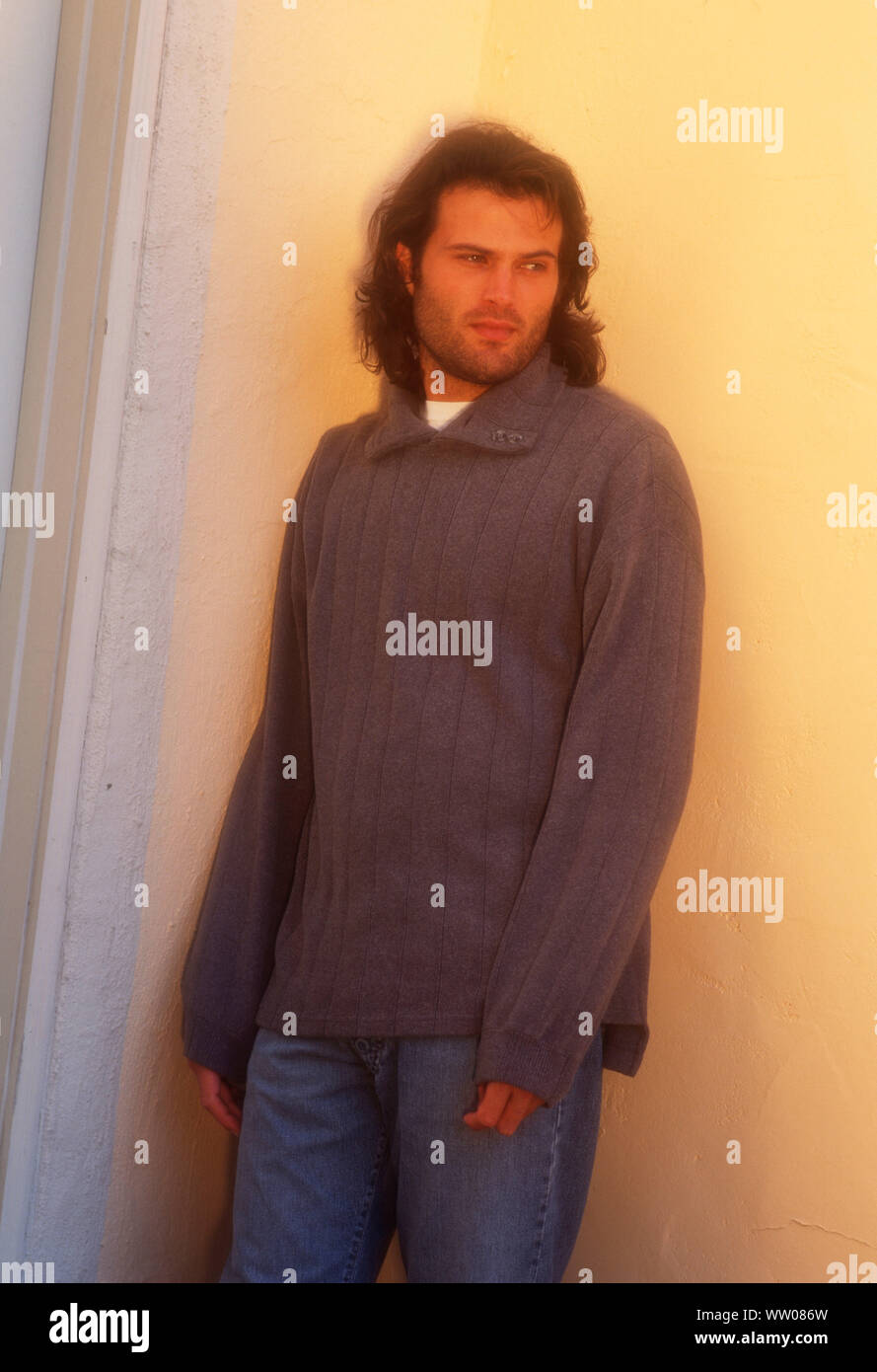 Los Angeles, California, USA 5th December 1994 (Exclusive) Actor David ...