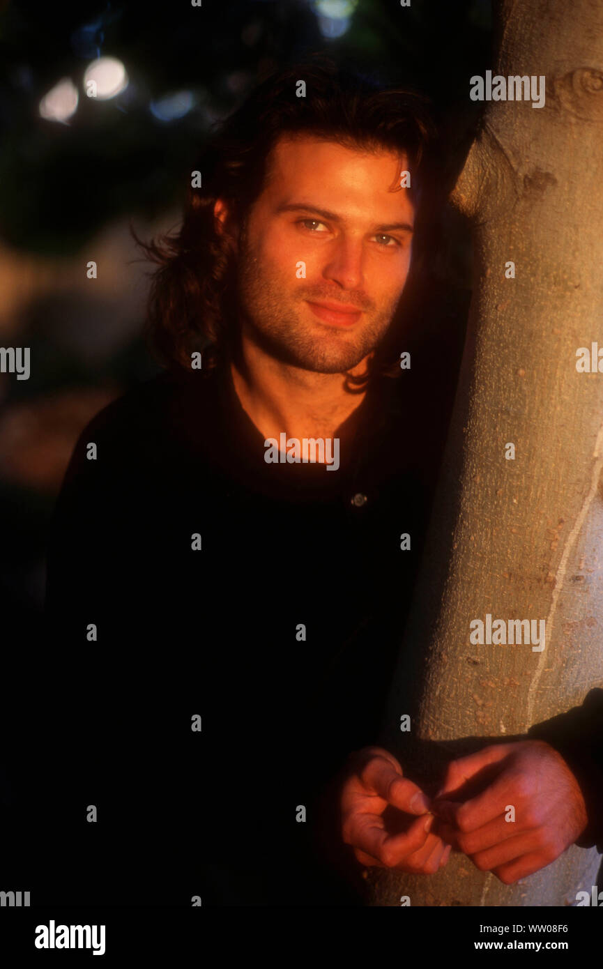 Los Angeles, California, USA 5th December 1994 (Exclusive) Actor David ...