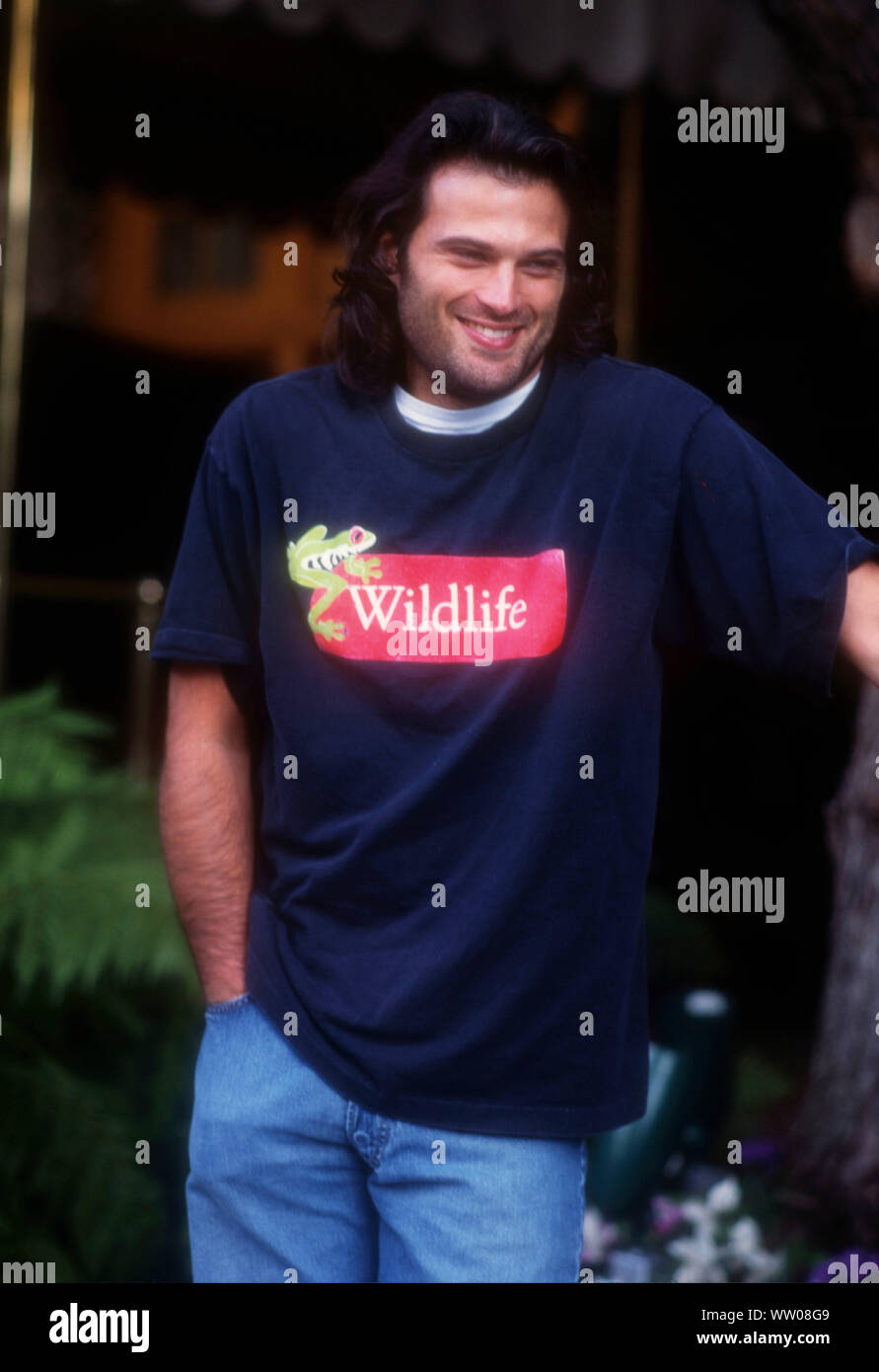 Los Angeles, California, USA 5th December 1994 (Exclusive) Actor David ...