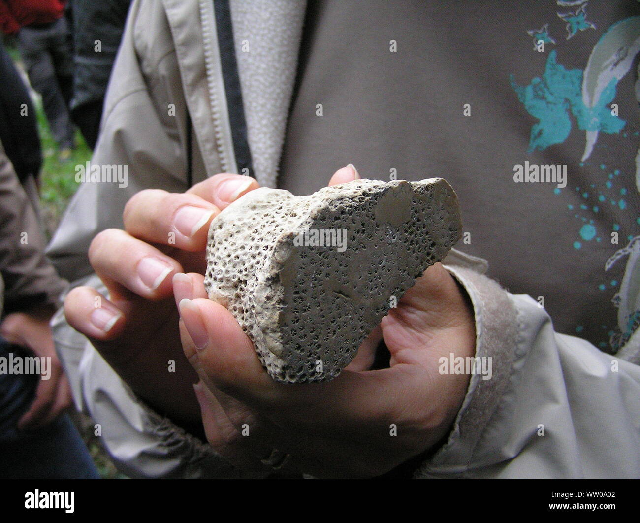 Body fossil hi-res stock photography and images - Alamy