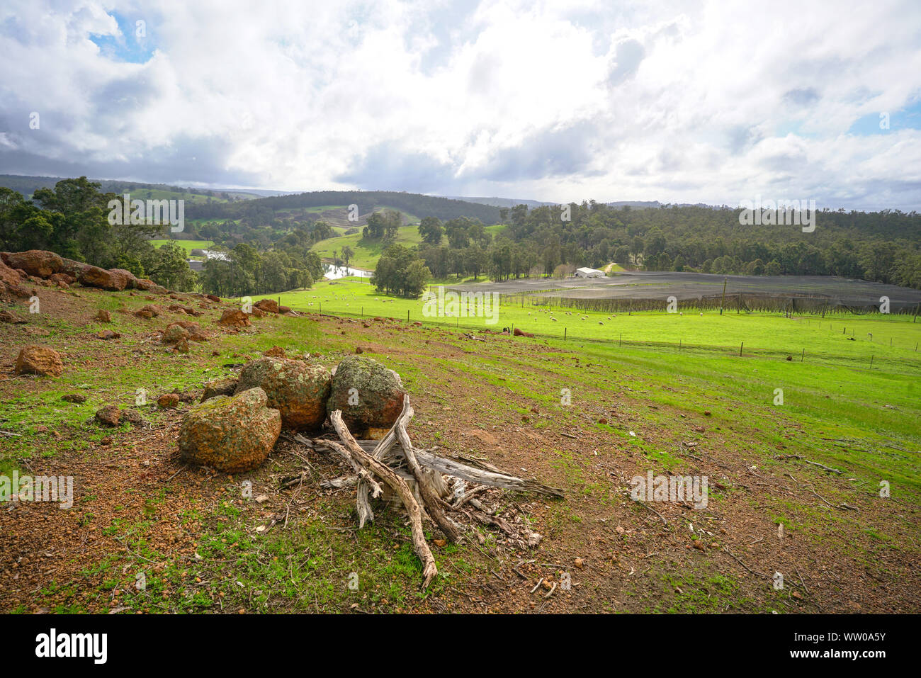 Countryside farm land landscape view with stones and wood at the ...