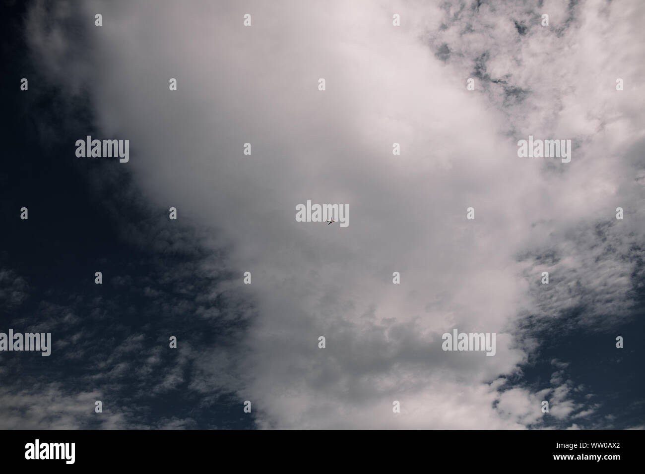 airplane in the sky. plane crossing a cloud vignette. Airplane high ...
