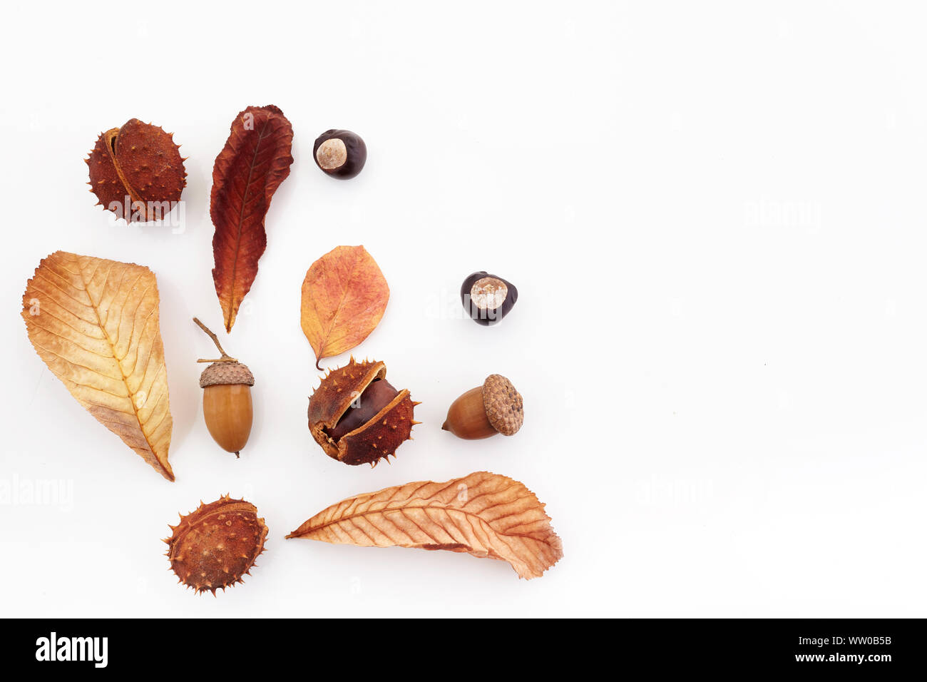 Autumn composition, frame made of acorns, chestnuts and dry leaves on ...