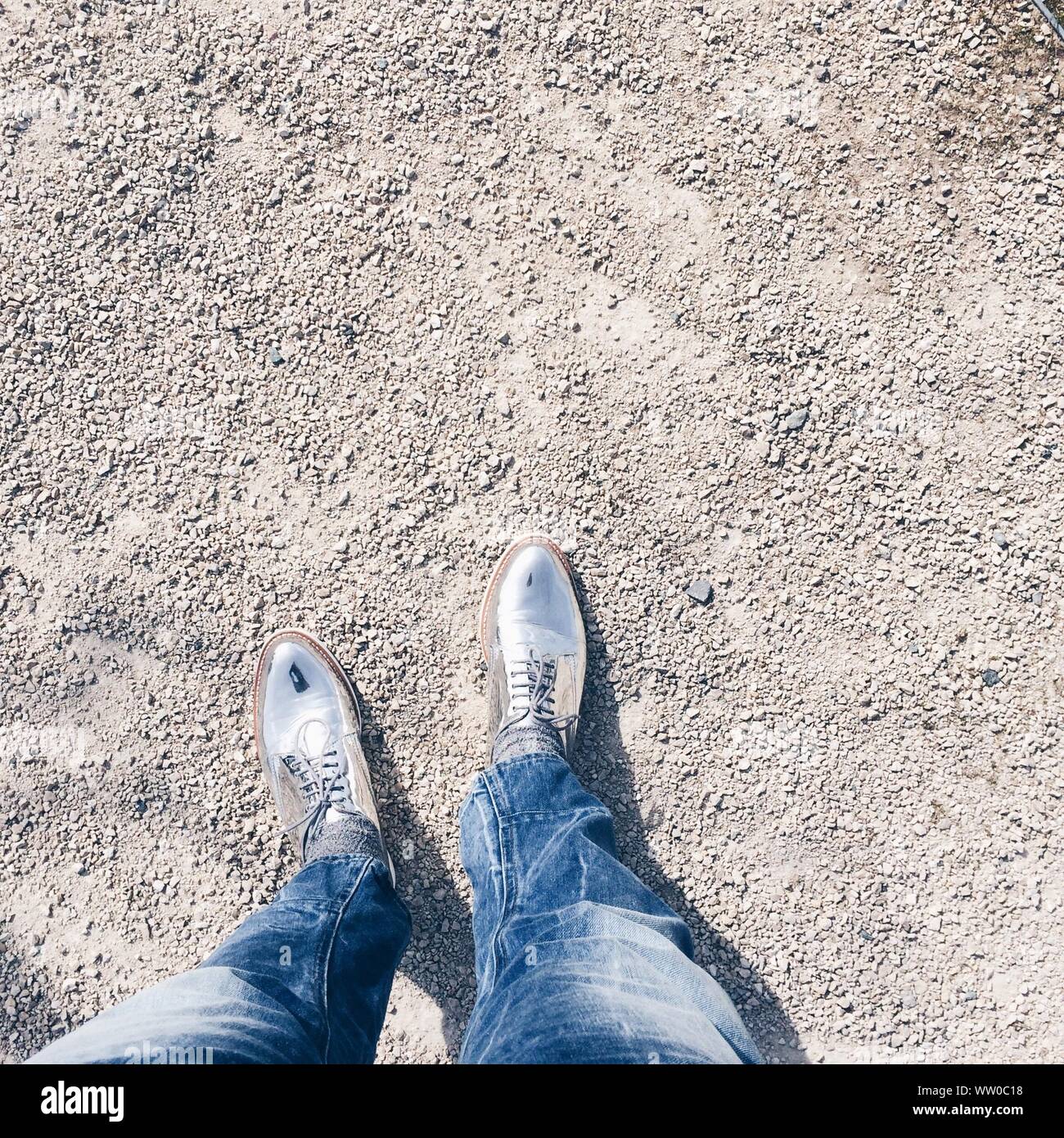 Silver legs hi-res stock photography and images - Alamy