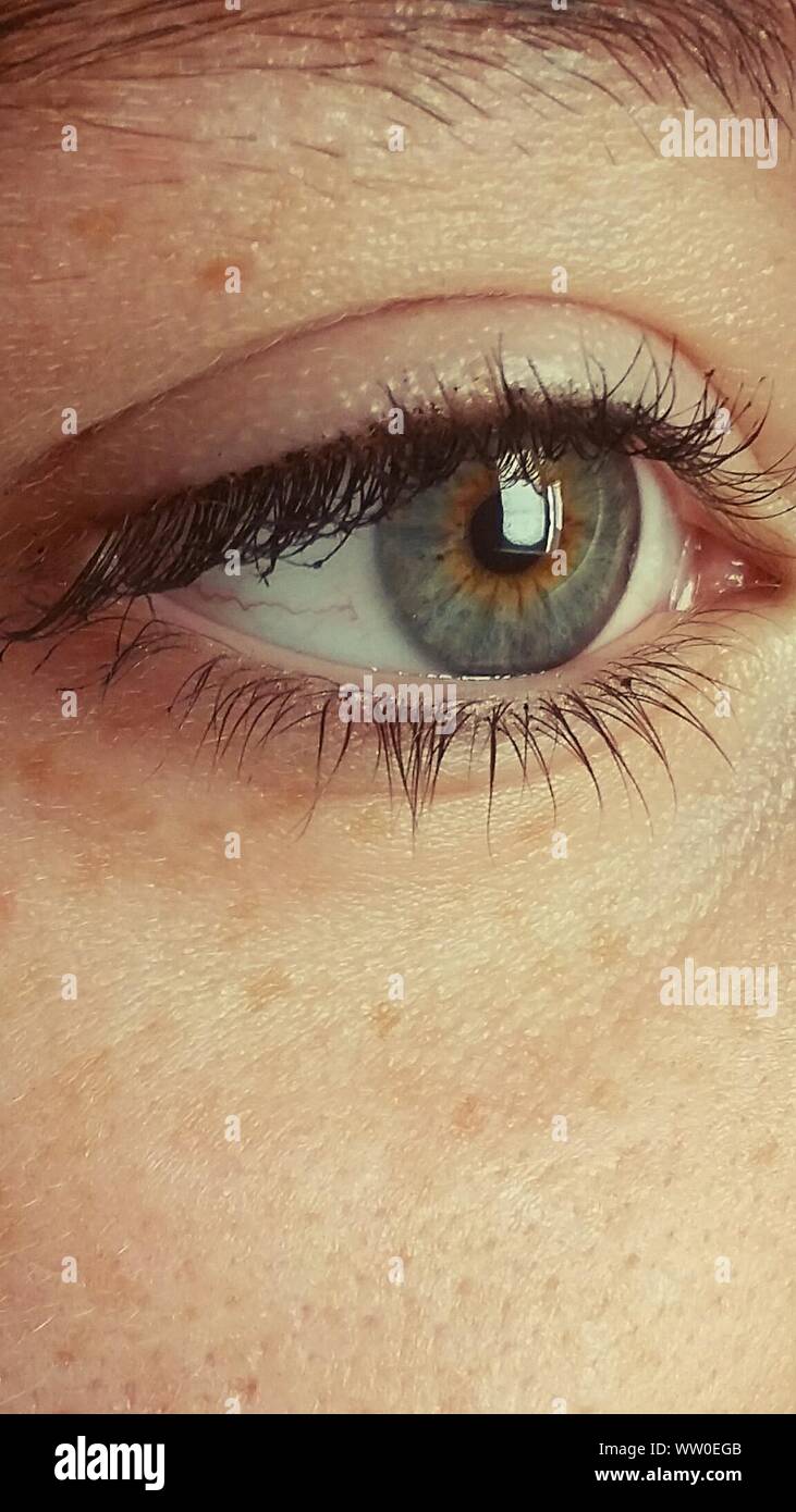 Orwellian concept hi-res stock photography and images - Alamy