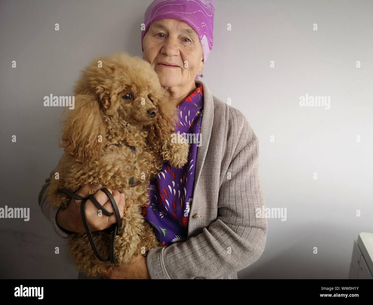 Senior woman hugging poodle dog Stock Photo - Alamy