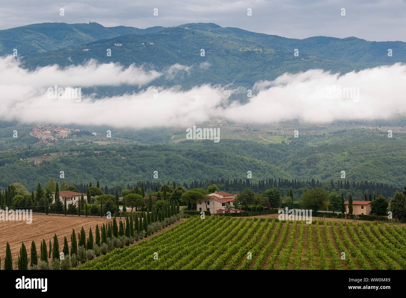 Low clouds in a beautiful Tuscan valley, Italy Stock Photo - Alamy