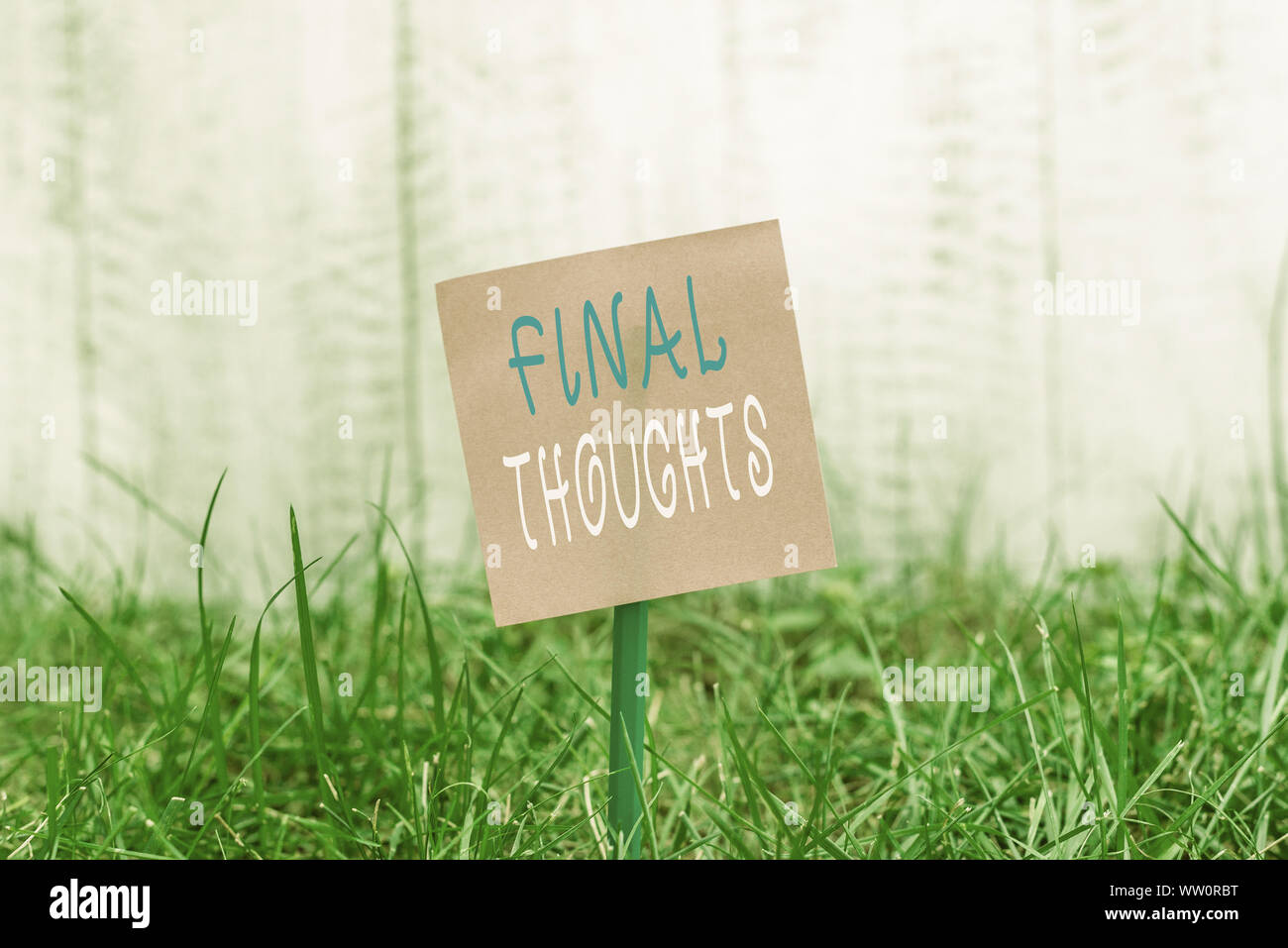 Writing note showing Final Thoughts. Business concept for the ...
