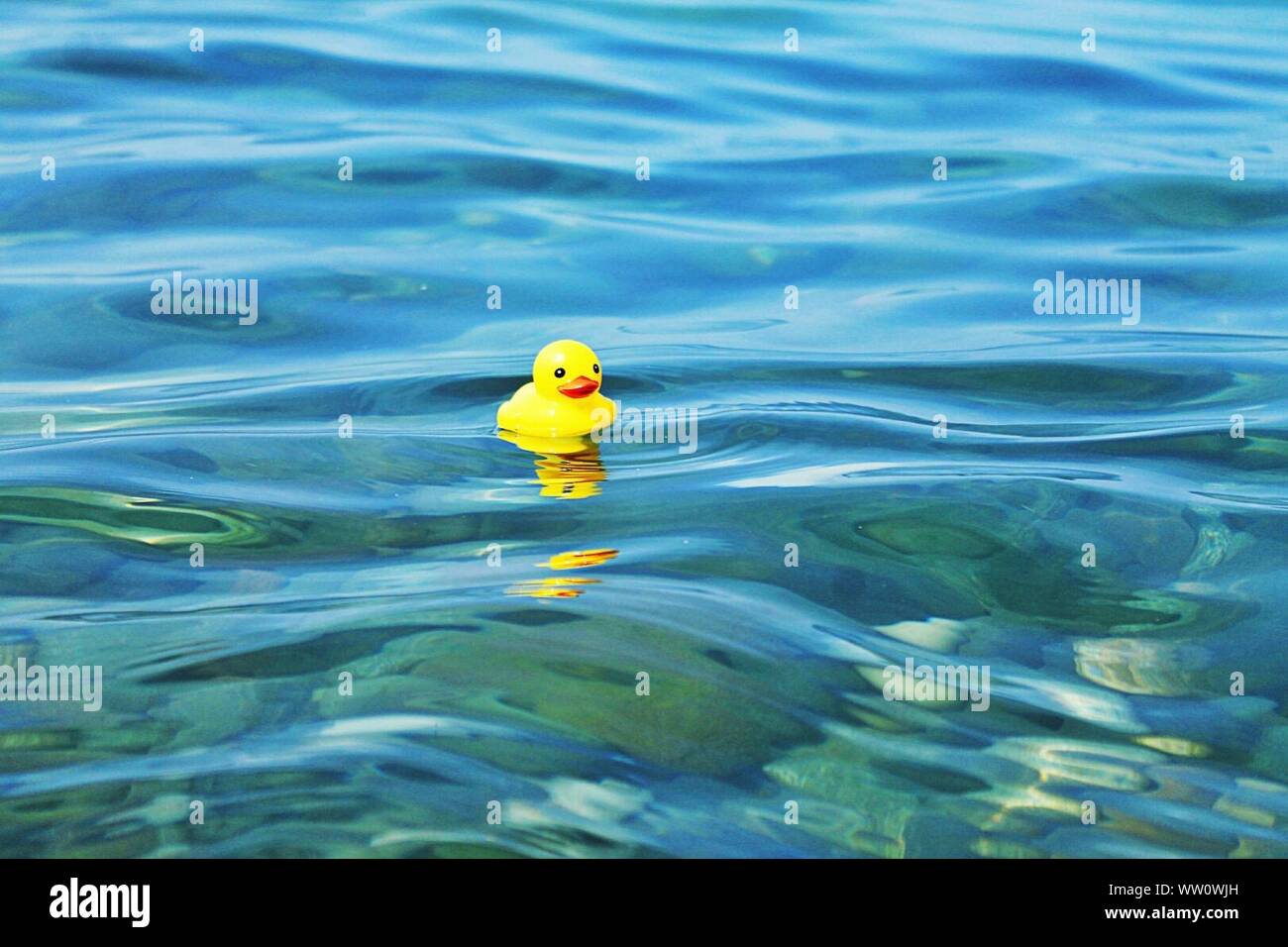 Rubber duck water hi-res stock photography and images - Alamy