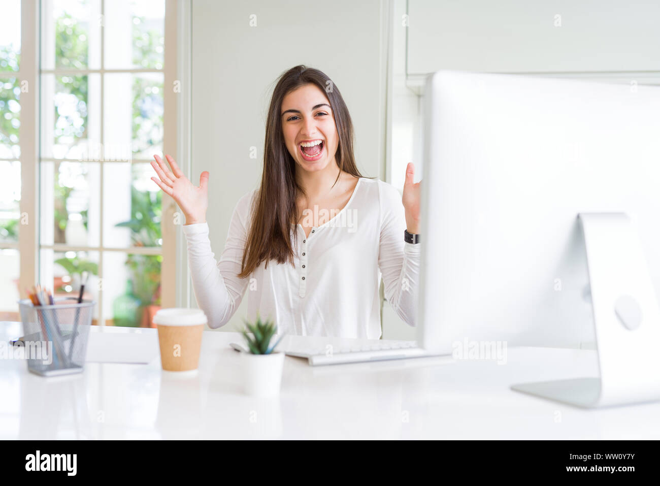 Beautiful young woman working using computer celebrating crazy and ...