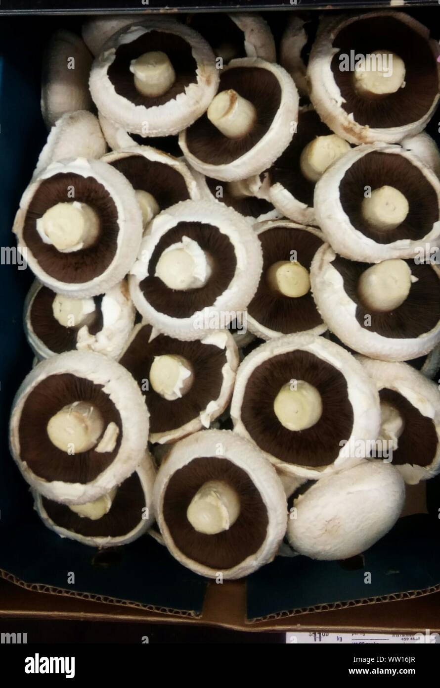 Box with mushrooms hi-res stock photography and images - Alamy
