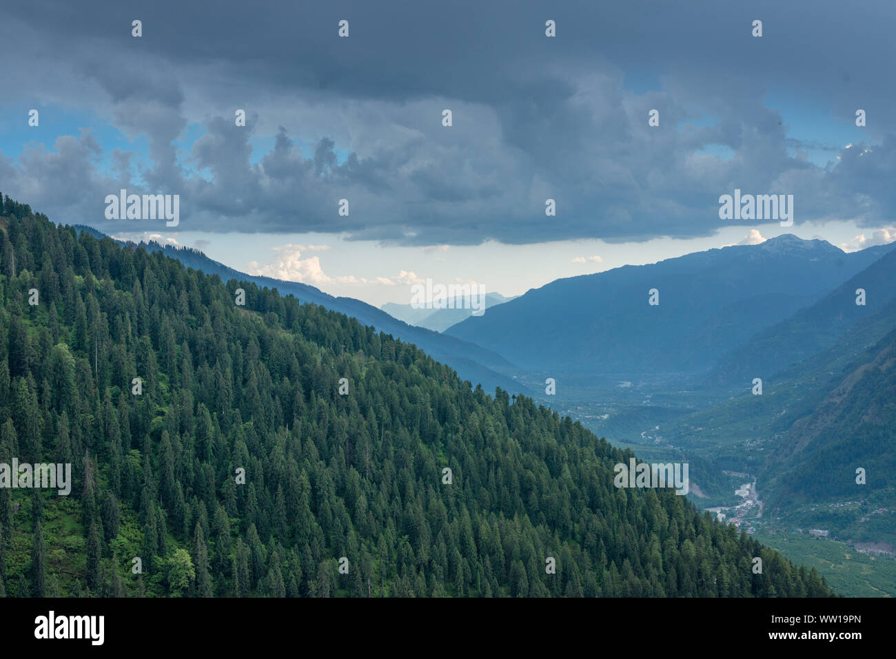 Deodar forest himachal hi-res stock photography and images - Alamy
