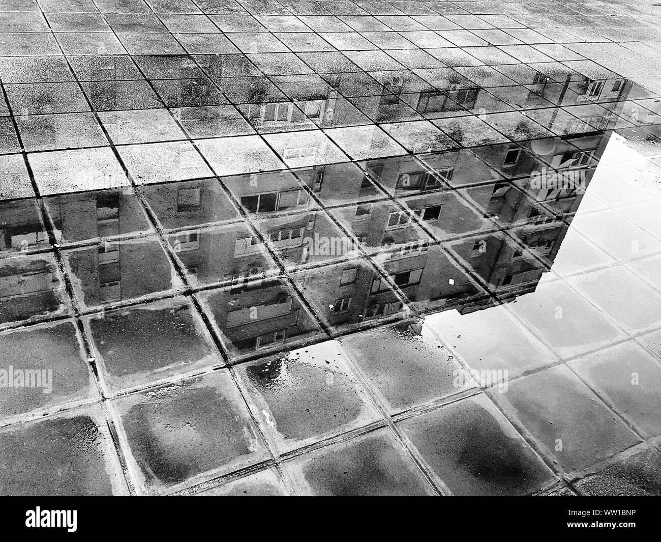 Sunlight reflection on building Black and White Stock Photos & Images ...