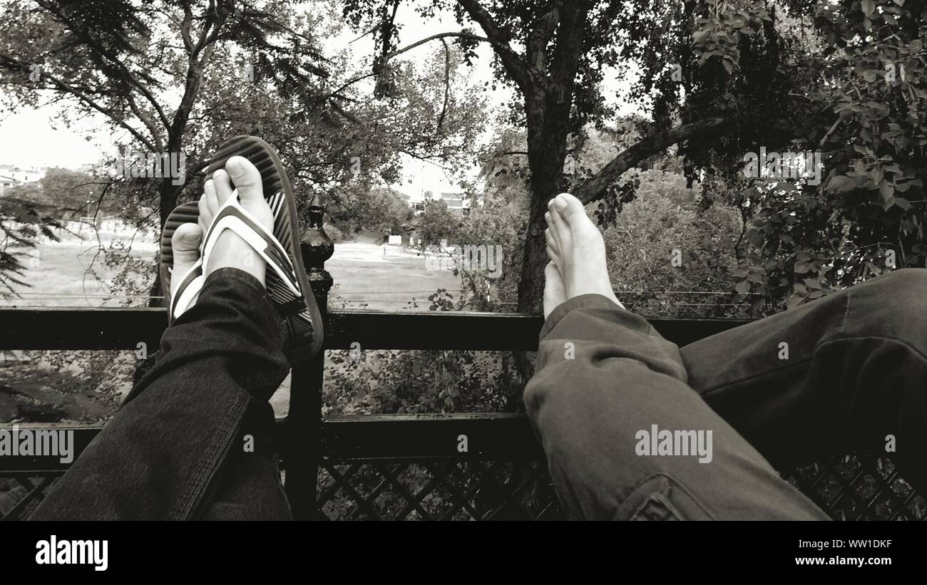 Relaxing trees hi-res stock photography and images - Alamy