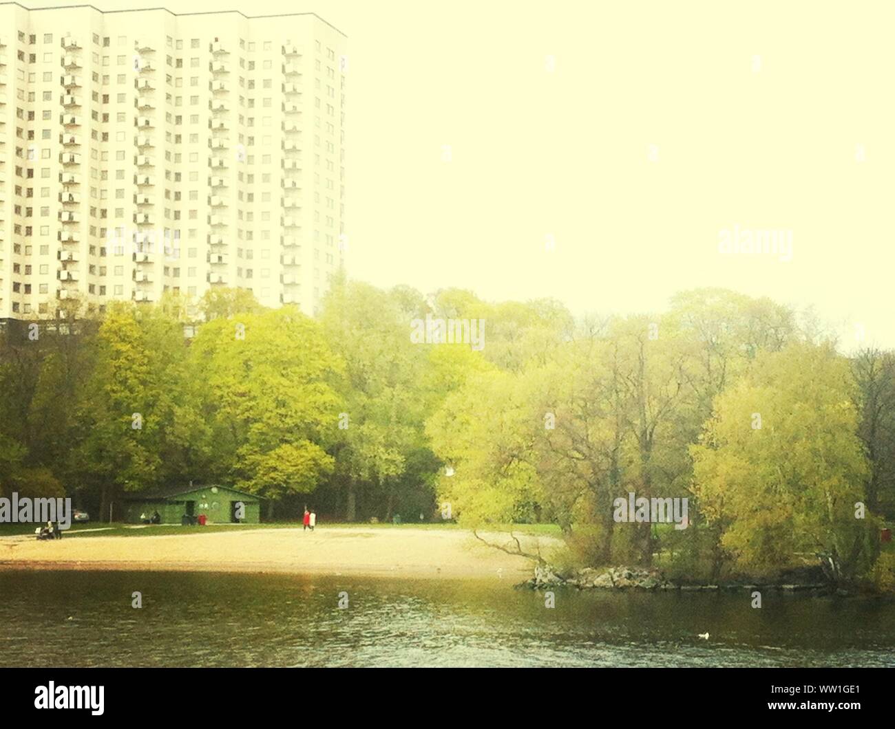 Landscape With Green Trees During Daytime Stock Photo - Alamy