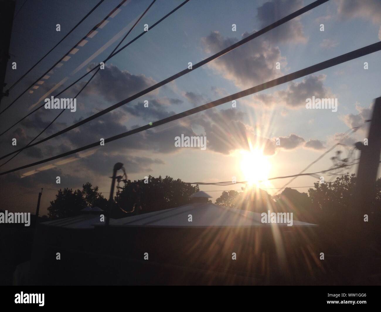 Tree line hi-res stock photography and images - Alamy