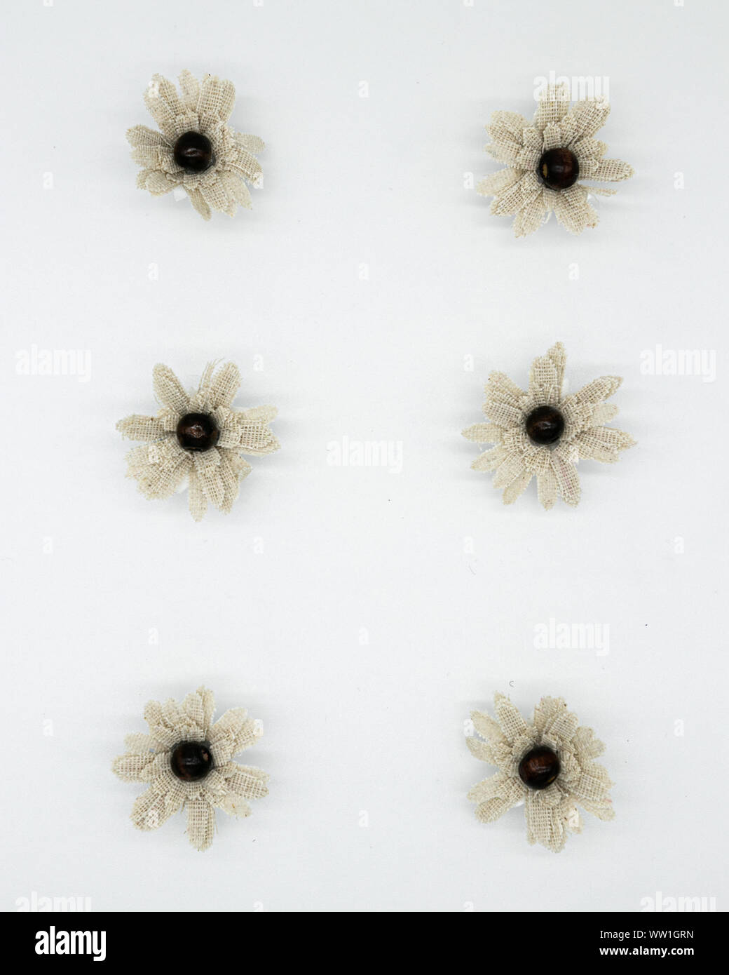 White flowers spread out hi-res stock photography and images - Alamy