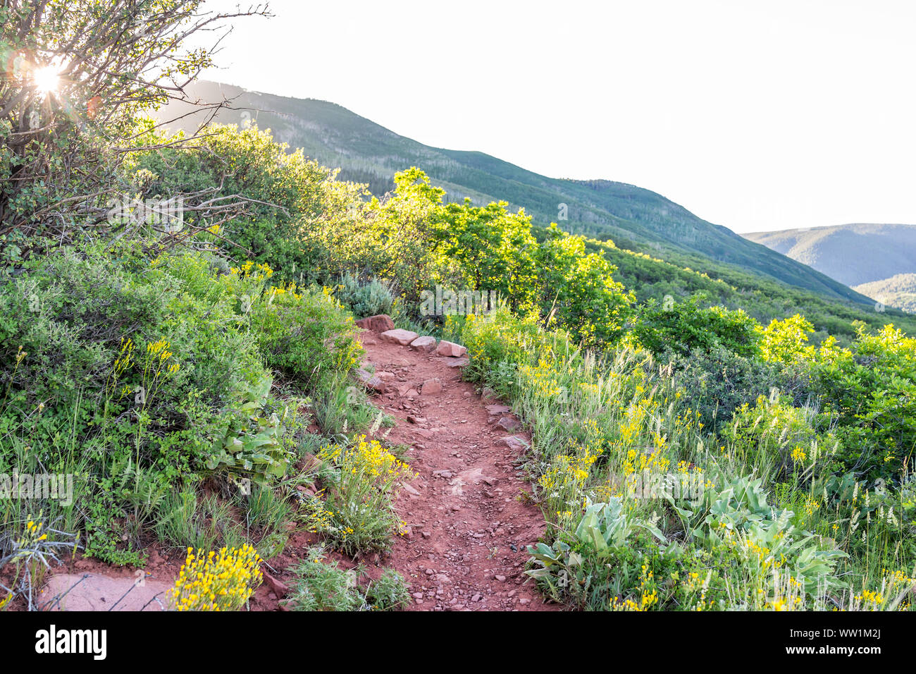 Morning sunlight sunburst on steep Sunnyside Trail in Aspen, Colorado ...