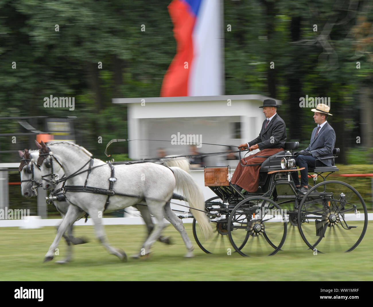World carriage driving championships hi-res stock photography and ...
