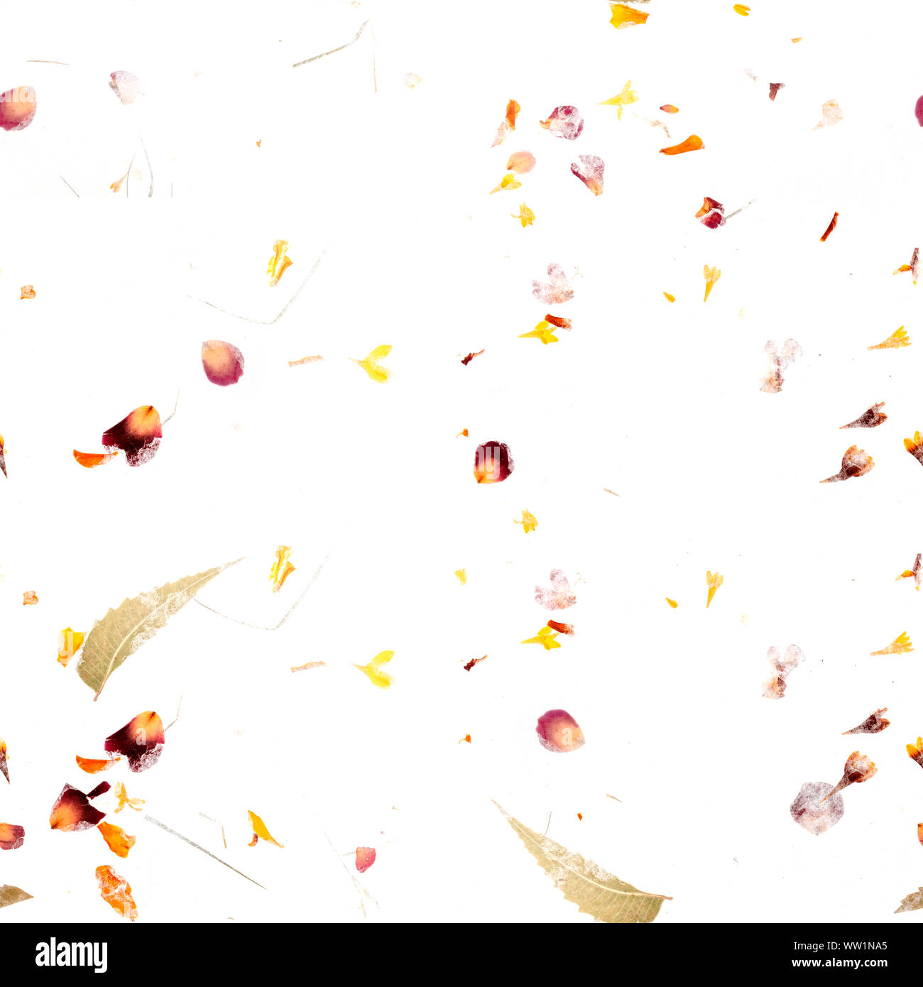 Seamless autumn pattern. A repeat print with scattered dry leaves and ...