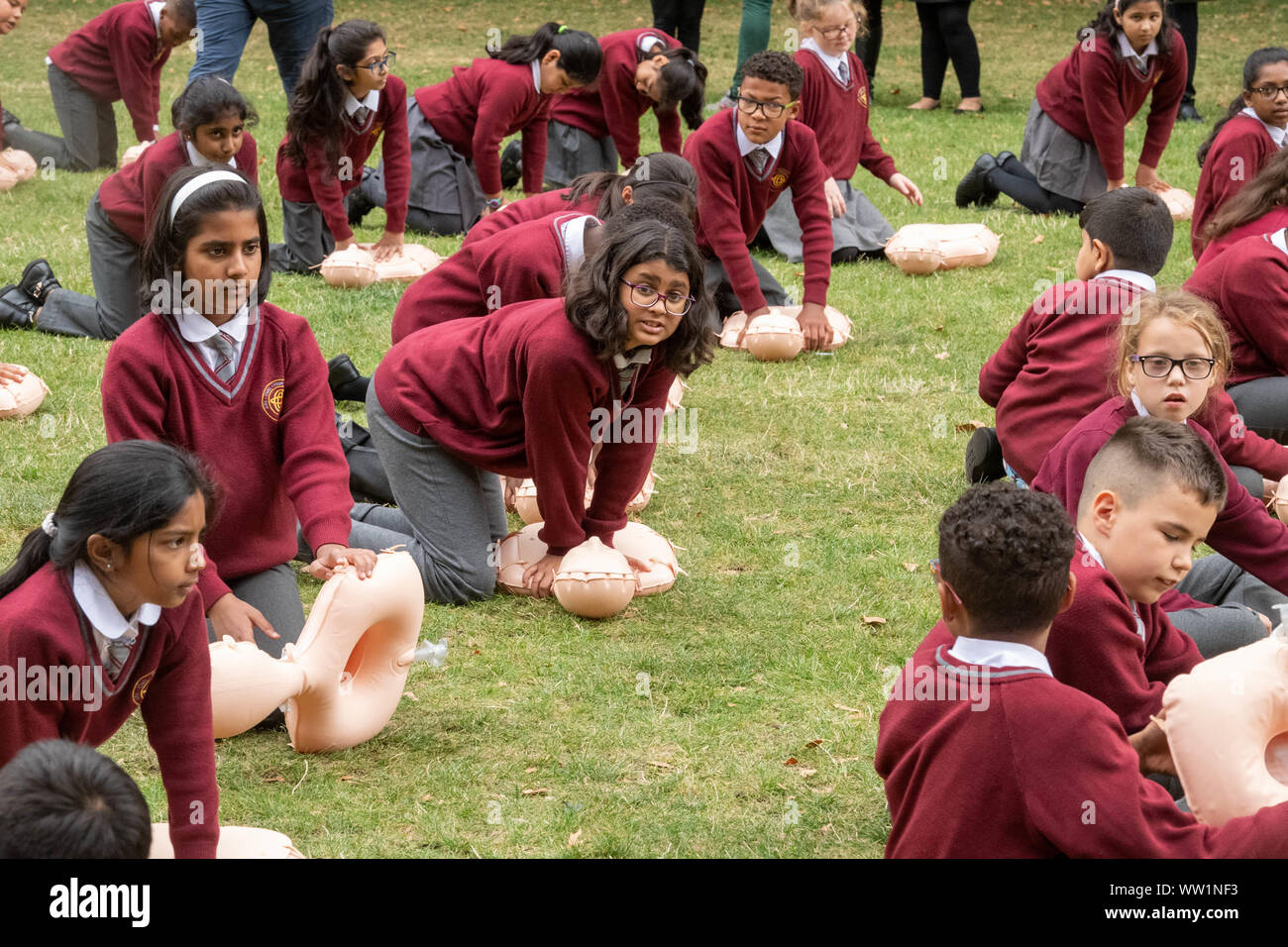School children practice first aid on resuscitation dolls hi-res stock ...