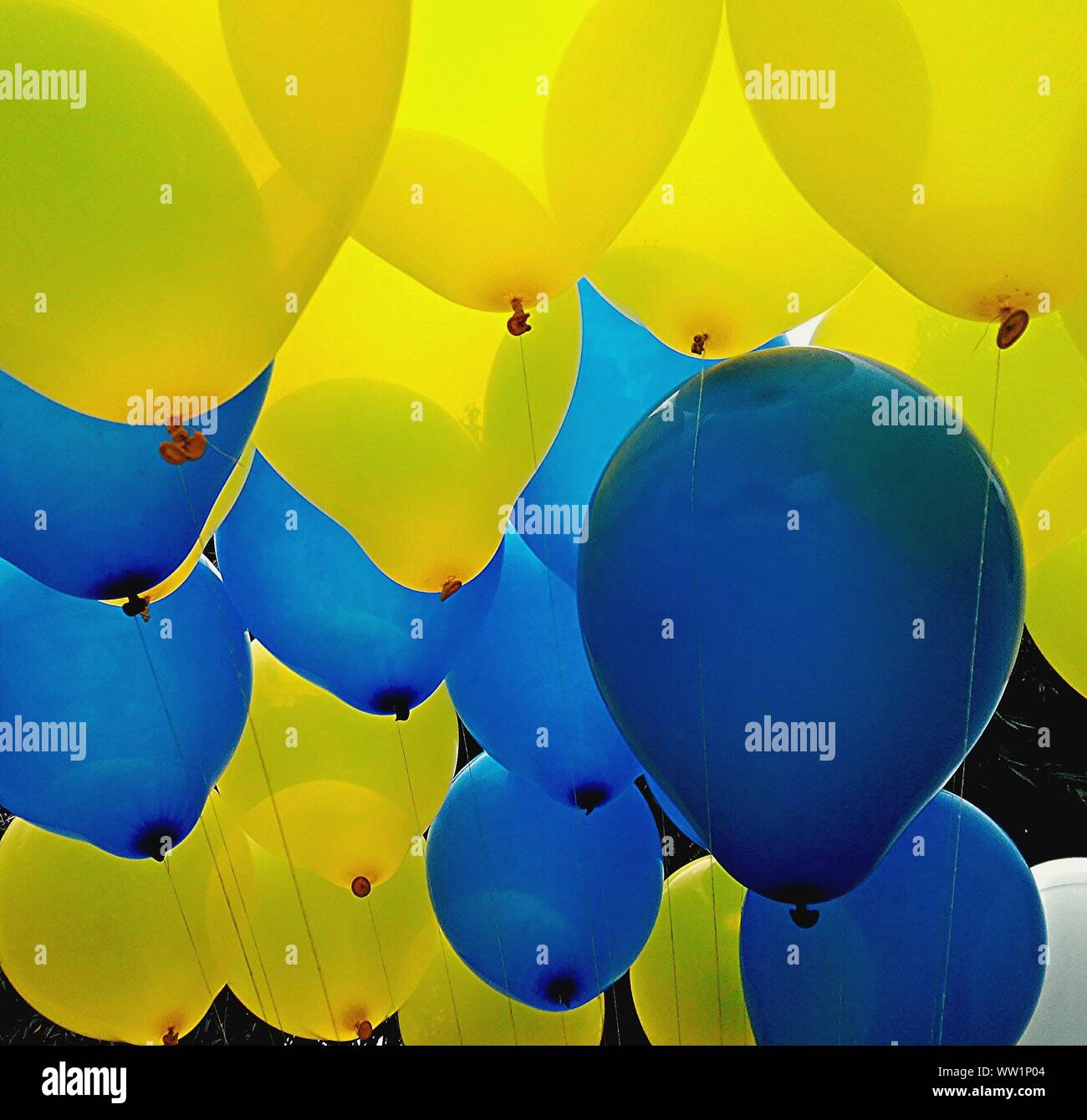 Blue and yellow balloons hi-res stock photography and images - Alamy