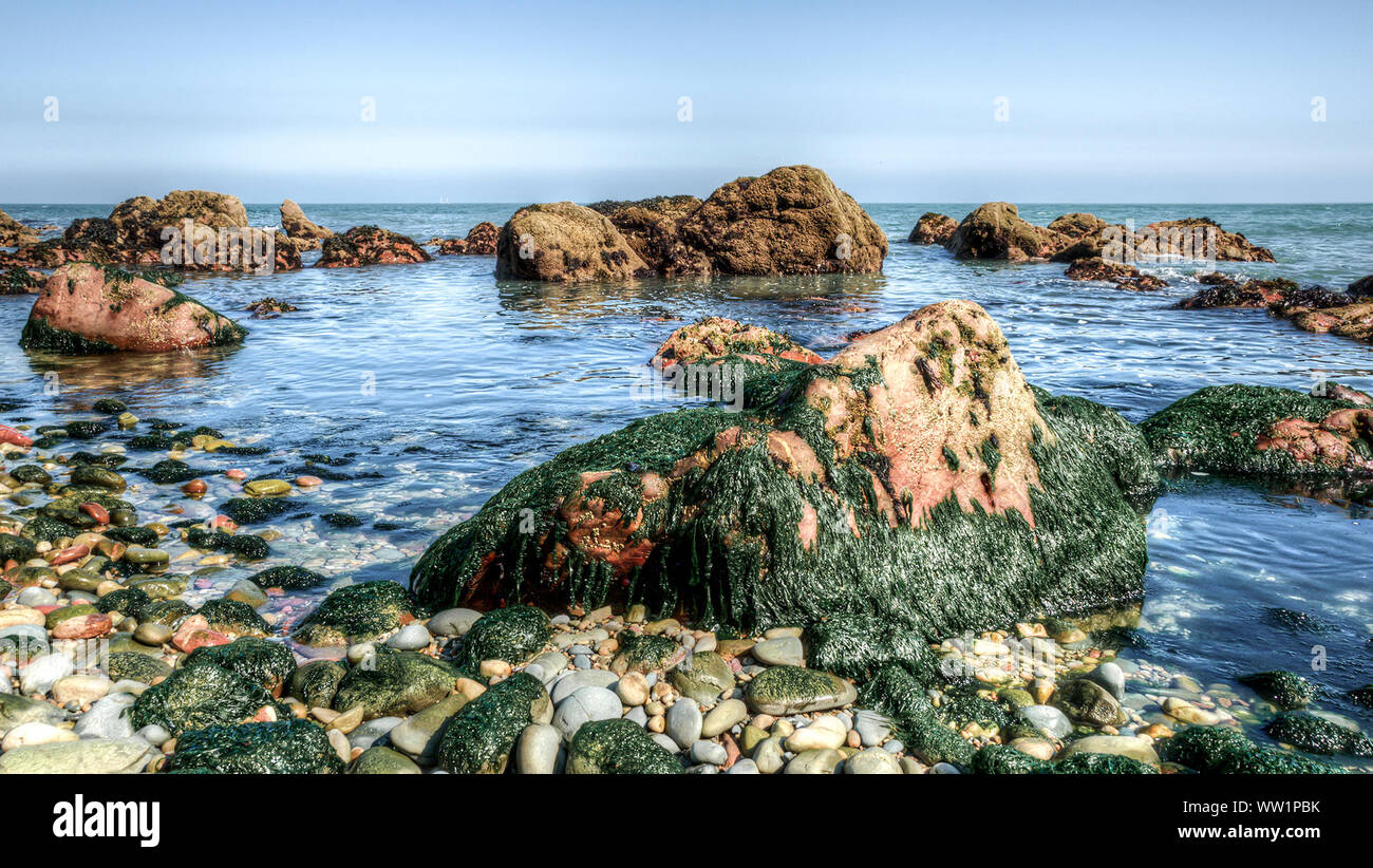 Moss covered rocks at the beach hi-res stock photography and images - Alamy
